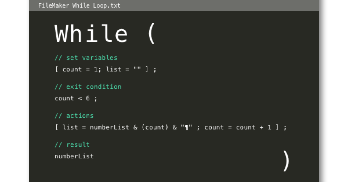 FIleMaker While Function | DB Services