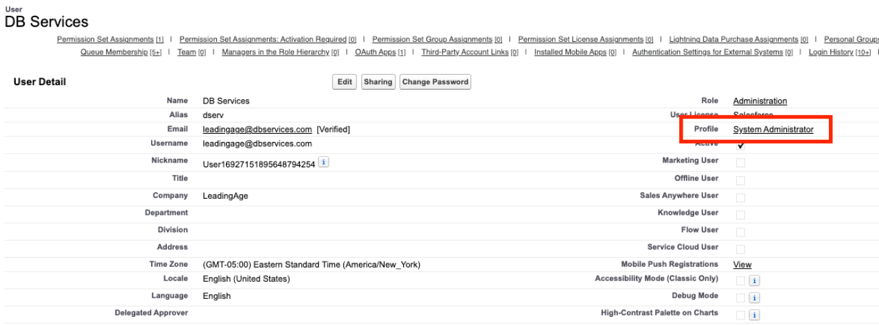 db services salesforce sandbox system administrator.