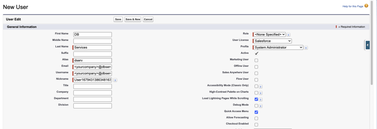 salesforce sandbox user information.